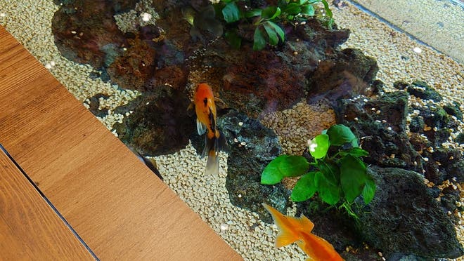 京都河原町三条交差点スグのカフェレストランの写真3