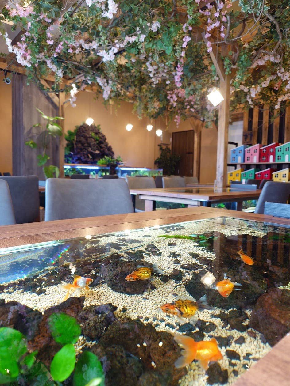 京都河原町三条交差点スグのカフェレストランの写真4