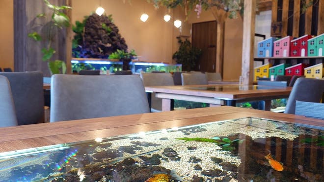 京都河原町三条交差点スグのカフェレストランの写真4