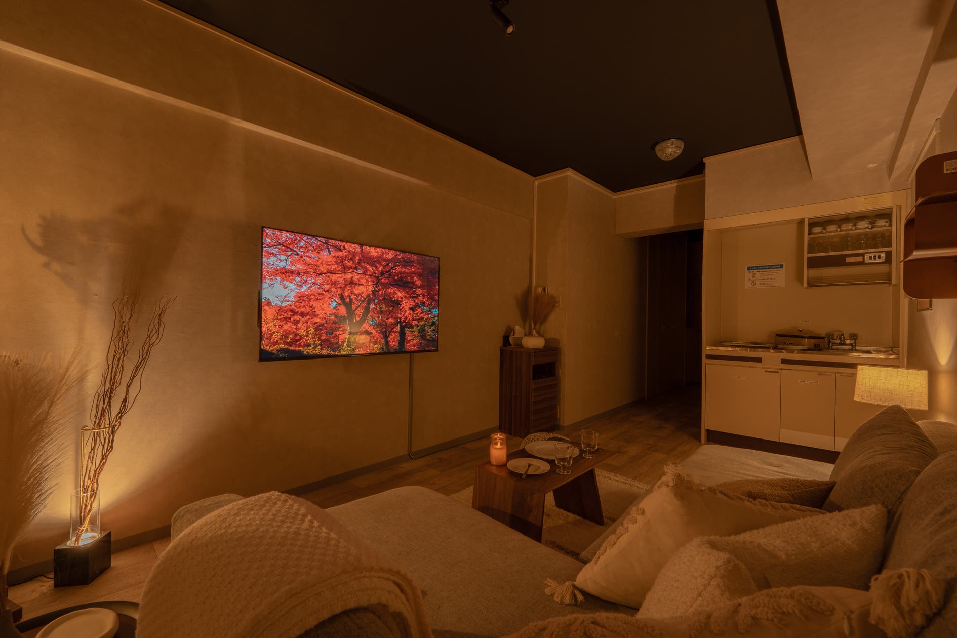 スペモ🥀デート💗プロジェクター🎥記念日🥂女子会💎映画鑑賞🎬️パーティ🥂撮影📸飲み会.838_Atelier天王寺の写真16