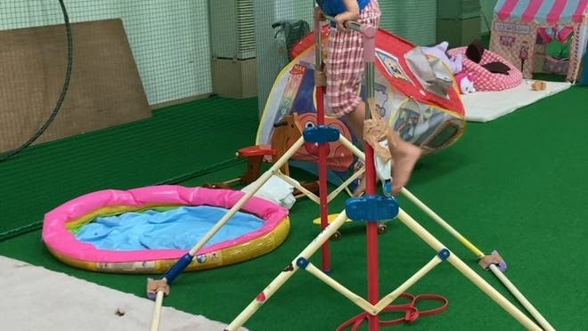 解放感抜群!スポーツから音楽まで、あらゆるアクティビティーを楽しめるレンタルスタジオの写真15