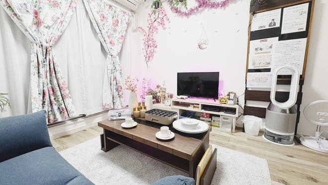 🌸インドア花見⚾️WBC野球観戦🔷いりなか駅スグの最上階❣️室内フルリフォーム済✨dyson空気清浄&加湿器で清潔空間🤩の写真1