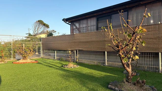 糸島の自然に囲まれたプライベートアウトドアサウナの写真8