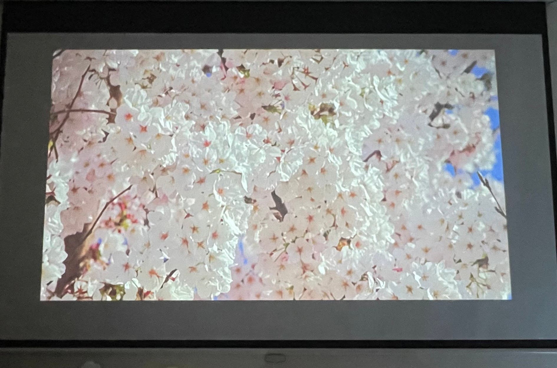 激安🉐24時間OK❣️完全個室❣️120㌅ｽｸﾘｰﾝ❣️名駅5分🚶歓送迎会💫ﾃﾞｰﾄ💞上映会🎦ｹﾞｰﾑ🎮女子会🫶の写真21