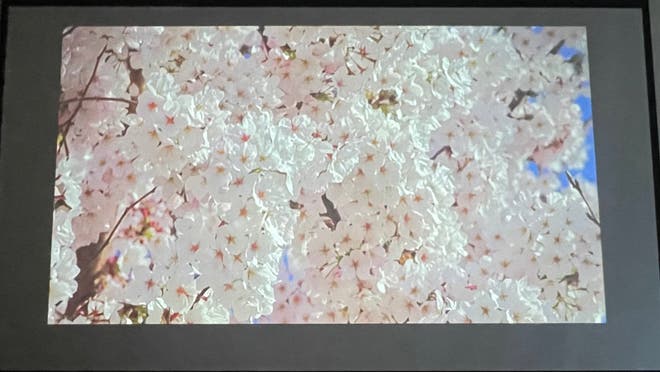 激安🉐24時間OK❣️完全個室❣️120㌅スクリーン❣️名駅5分🚶歓送迎会💫デート💞上映会🎦ゲーム🎮女子会🫶の写真21