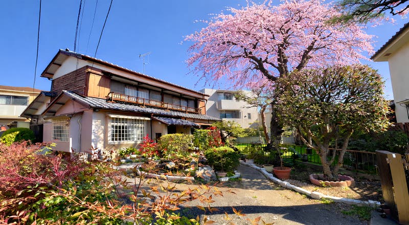 🌸【春限定】庭に本物の桜｜室内花見OK｜一棟貸切｜駅徒歩3分｜中野区・新宿｜配信・イベント・SNS・Tiktok・ペット可