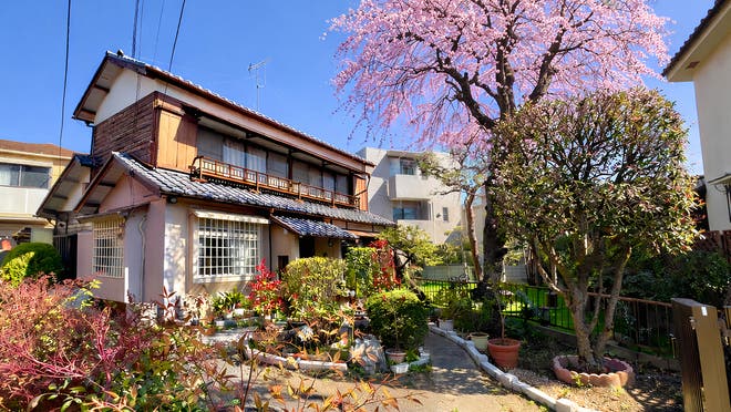 🌸【春限定】庭に本物の桜|室内花見OK|一棟貸切|駅徒歩3分|中野区・新宿|配信・イベント・SNS・Tiktok・ペット可の写真1