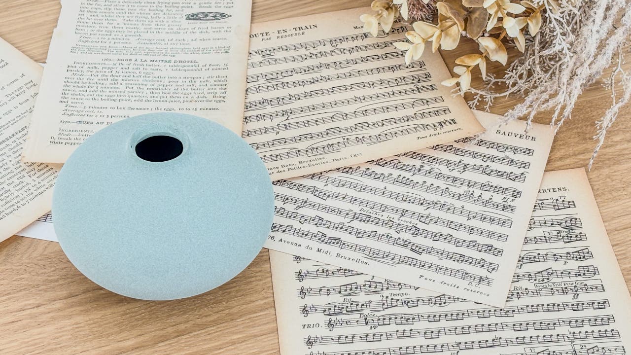 真南の自然光｜北欧＋和｜大型撮影機材無料｜10ギガ光回線｜スチール、ムービー撮影・動画配信・ポートレート｜の写真14