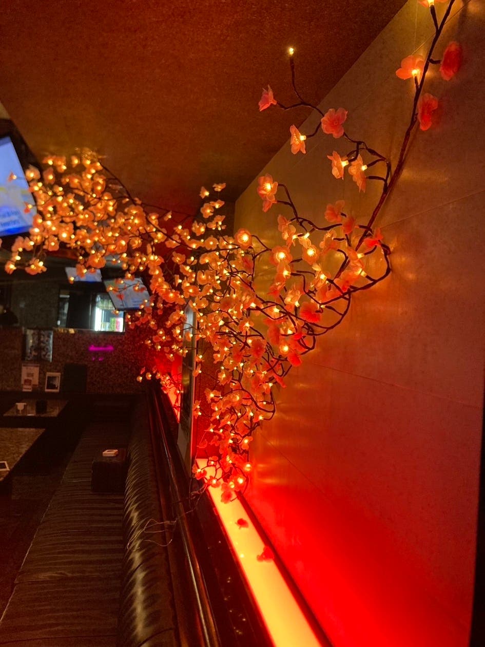 《心斎橋駅近/広々》高級BAR完全貸切可・各種パーティーに/カラオケ無料・ダーツLIVE2あり/飲み放題990円!/結婚式２次会の写真3