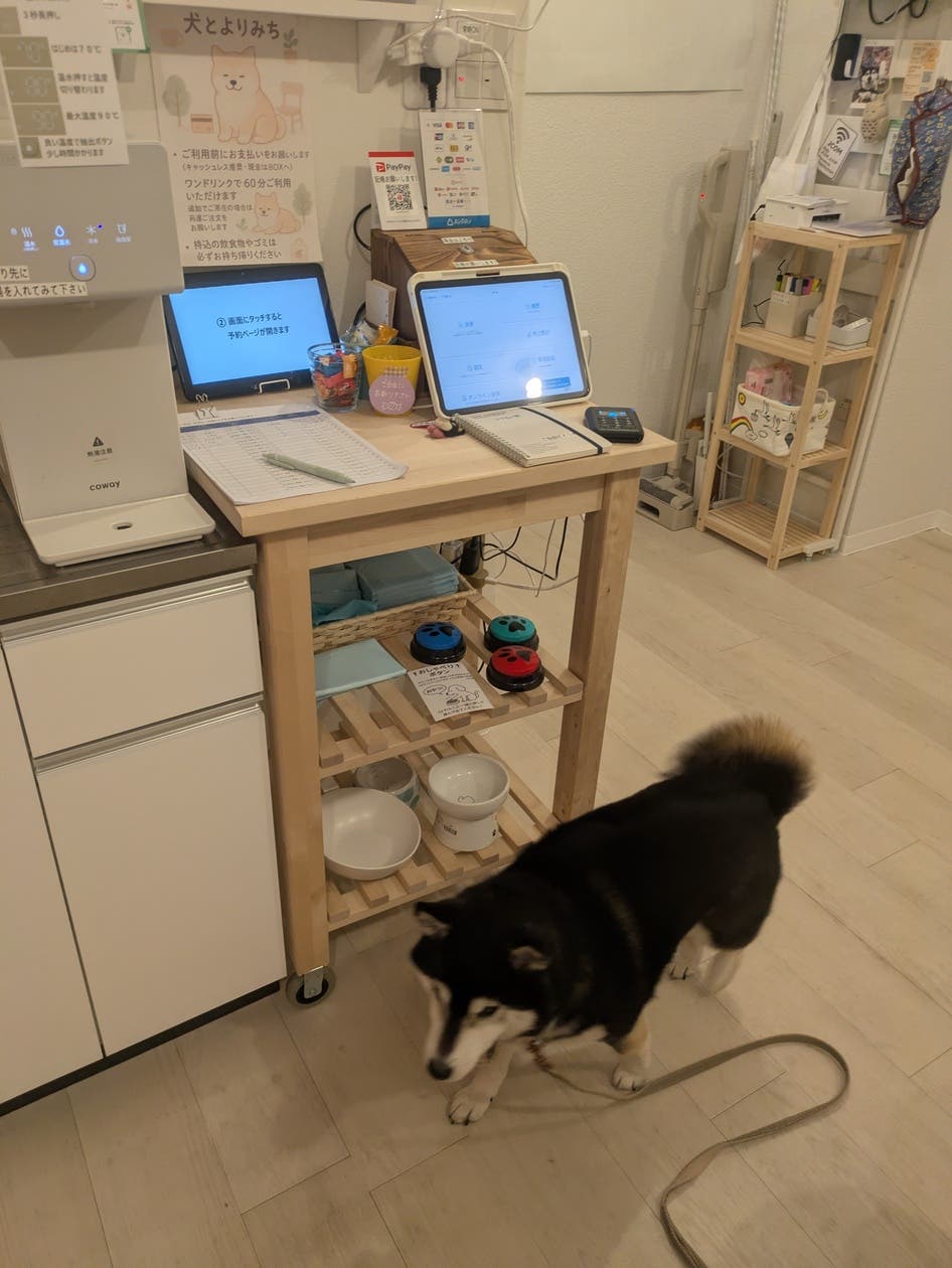 灘区の隠れ家スペース｜犬と一緒に過ごせる小さな空間の写真3