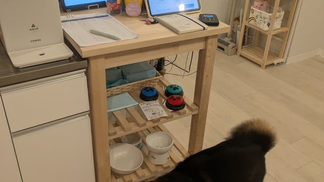 灘区の隠れ家スペース|犬と一緒に過ごせる小さな空間の写真3