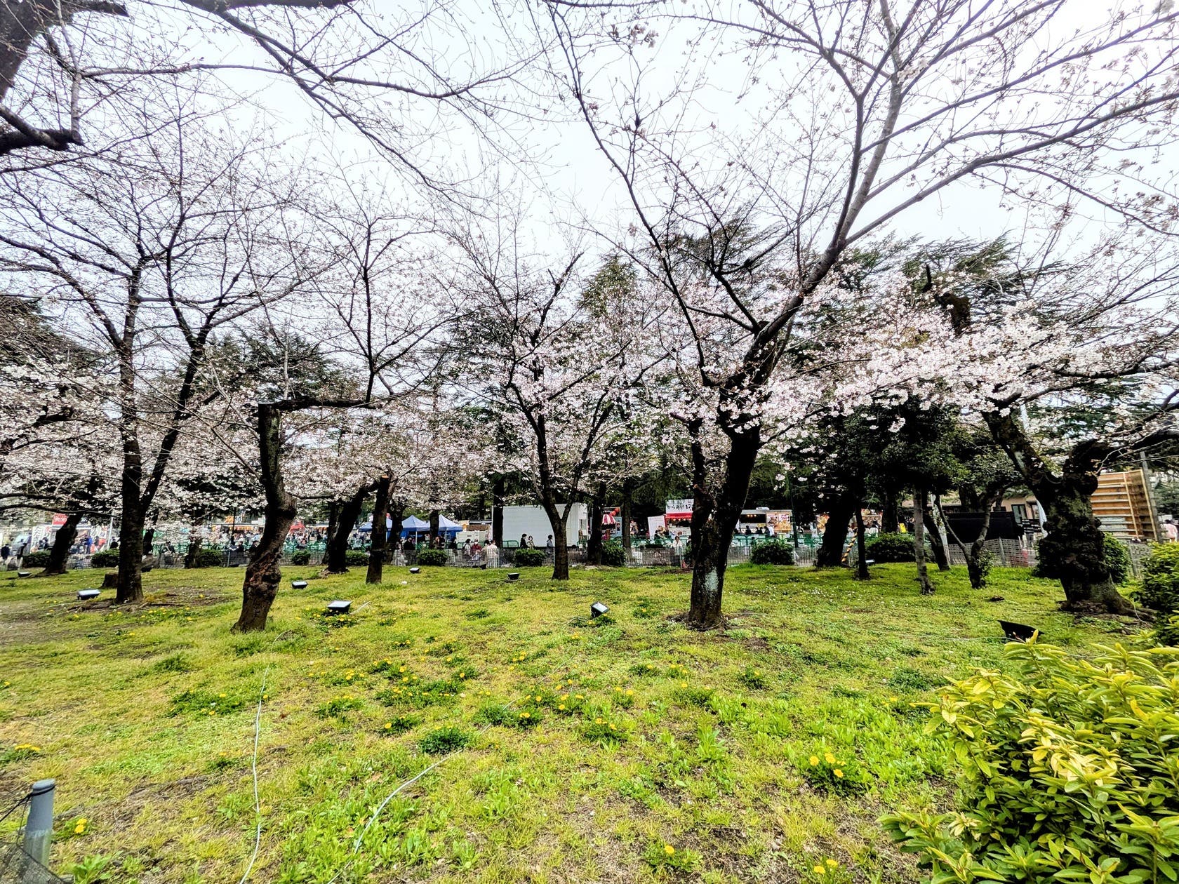 上前津５分、🌸鶴舞公園８分　インドア花見、100インチ推し会🎂お誕生日📷コスプレ🎬シネマデート🃏ボードゲームの写真4