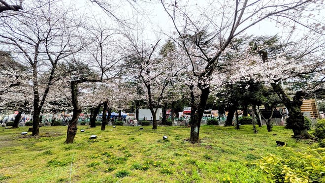 上前津5分、🌸鶴舞公園8分 インドア花見、100インチ推し会🎂お誕生日📷コスプレ🎬シネマデート🃏ボードゲームの写真4