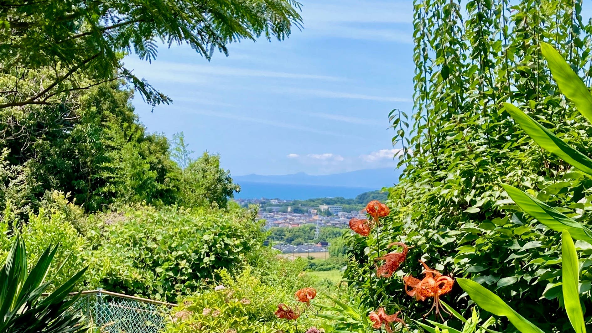 海と風の丘に立つ一軒家♪コーヒー等ご提供可能♪晴れた⽇には相模湾を遠望♪の写真8