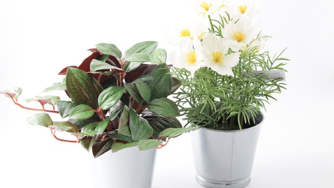 【2025年6月オープン!】浜松町・大門駅から徒歩5分 カメラ一つで撮影が出来る本格フォトスタジオの写真22