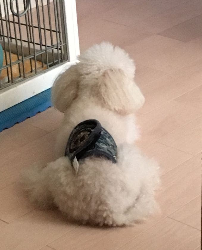 椎名町駅徒歩４~5分 キッチン&ピアノ&WIFI環境okのスペース。池袋 西口徒歩15分の写真20