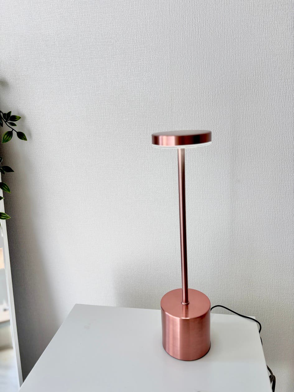 ラベゼレンタルサロン名古屋駅から７分の写真7