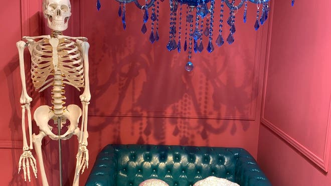 立川駅徒歩4分のレンタル撮影スタジオです。の写真4