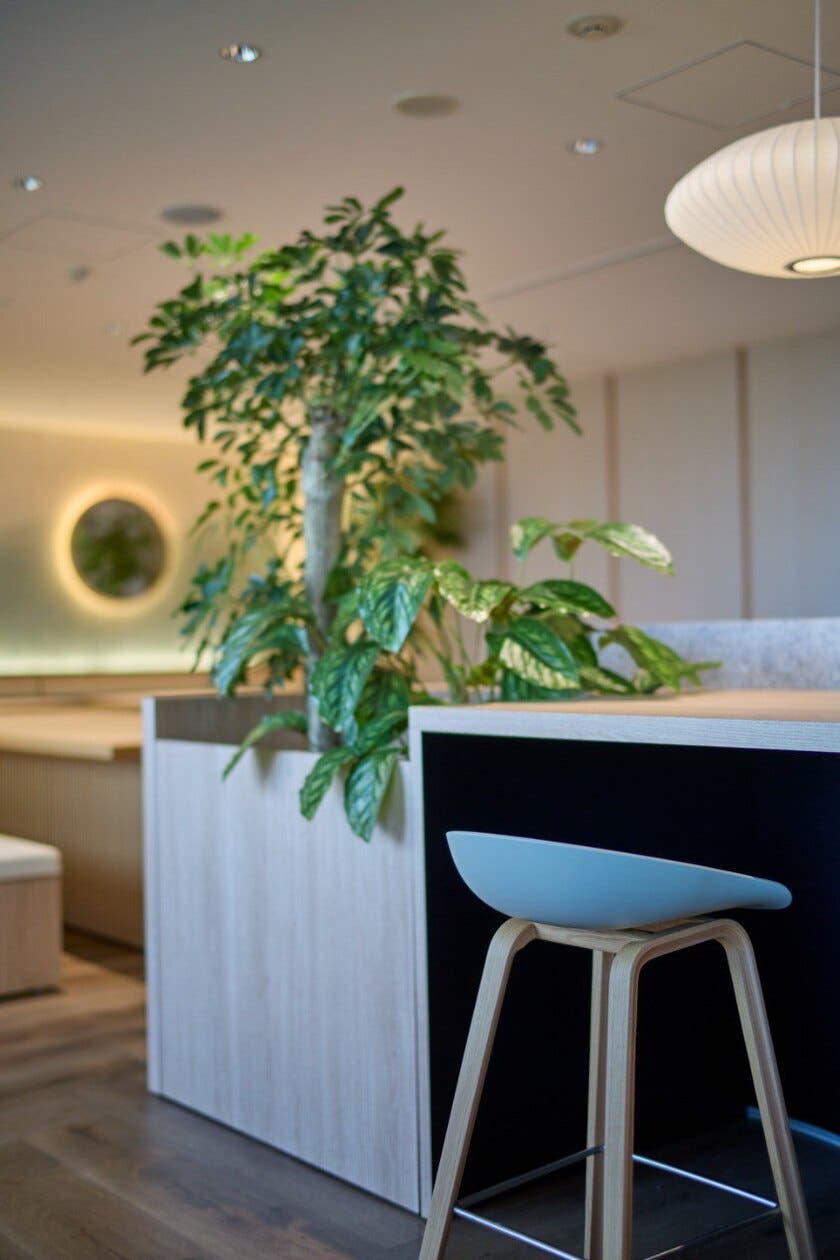 🌿 Salon de Vert AOYAMA – 青山一丁目駅 直結の、緑に包まれた180㎡ラウンジ 🌿の写真7