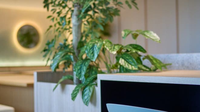 🌿 Salon de Vert AOYAMA – 青山一丁目駅 直結の、緑に包まれた180㎡ラウンジ 🌿の写真7