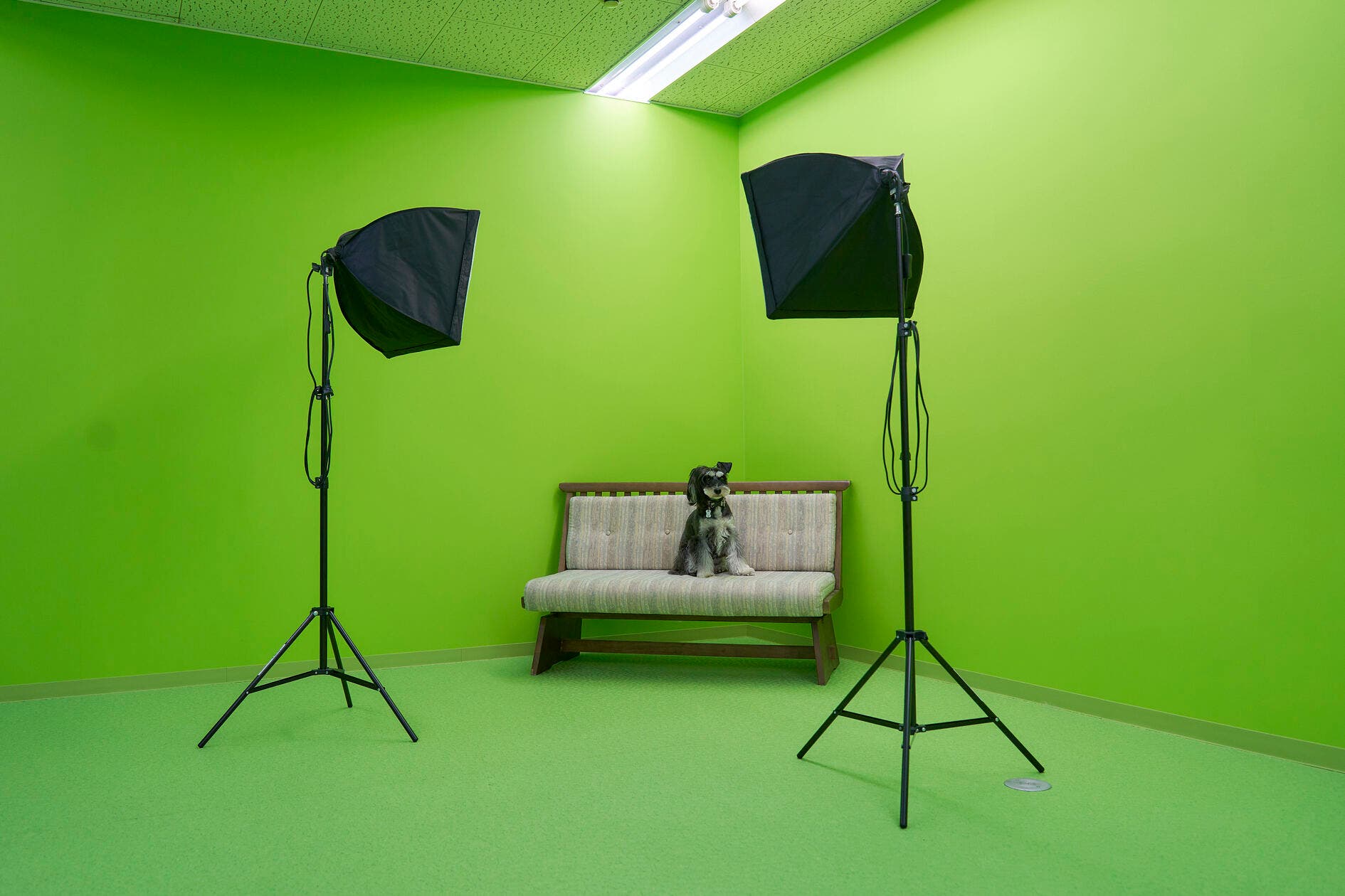 【大阪北区】最安級1,000円/h～持ち込み特化グリーンバックスタジオ！配信・撮影・コスプレ・ペット対応の写真1