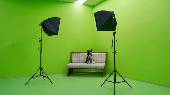 【大阪北区】最安級1,000円/h~持ち込み特化グリーンバックスタジオ!配信・撮影・コスプレ・ペット対応の写真1