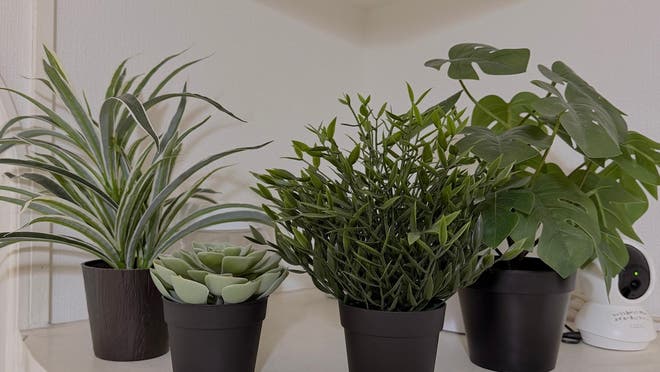 大宮駅から徒歩4分✨整体┃エステ┃ダンス練習┃着付け┃ヘアメイク┃会議も✨の写真21