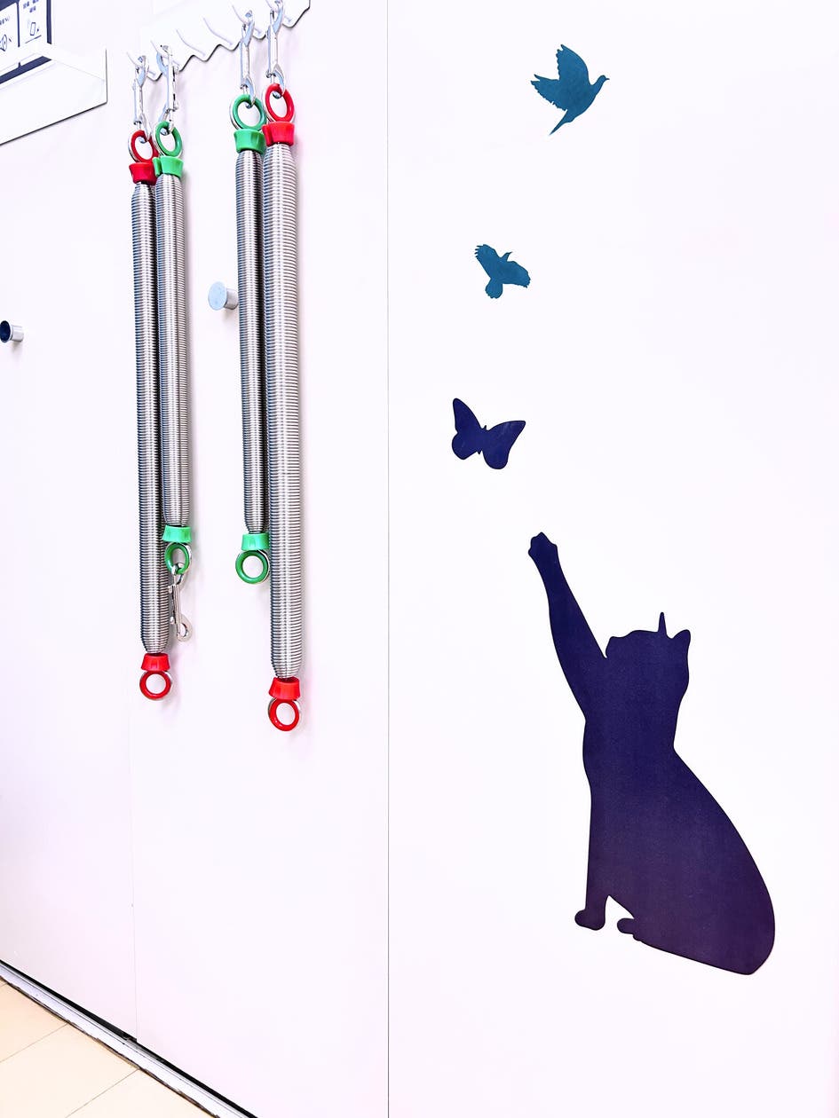 スペシャルプライス 🎉【横浜エリア|東神奈川駅から徒歩５分🌟】ピラティスマシン設置♪ピラティス・ヨガ・ダンス等におすすめ👍の写真12