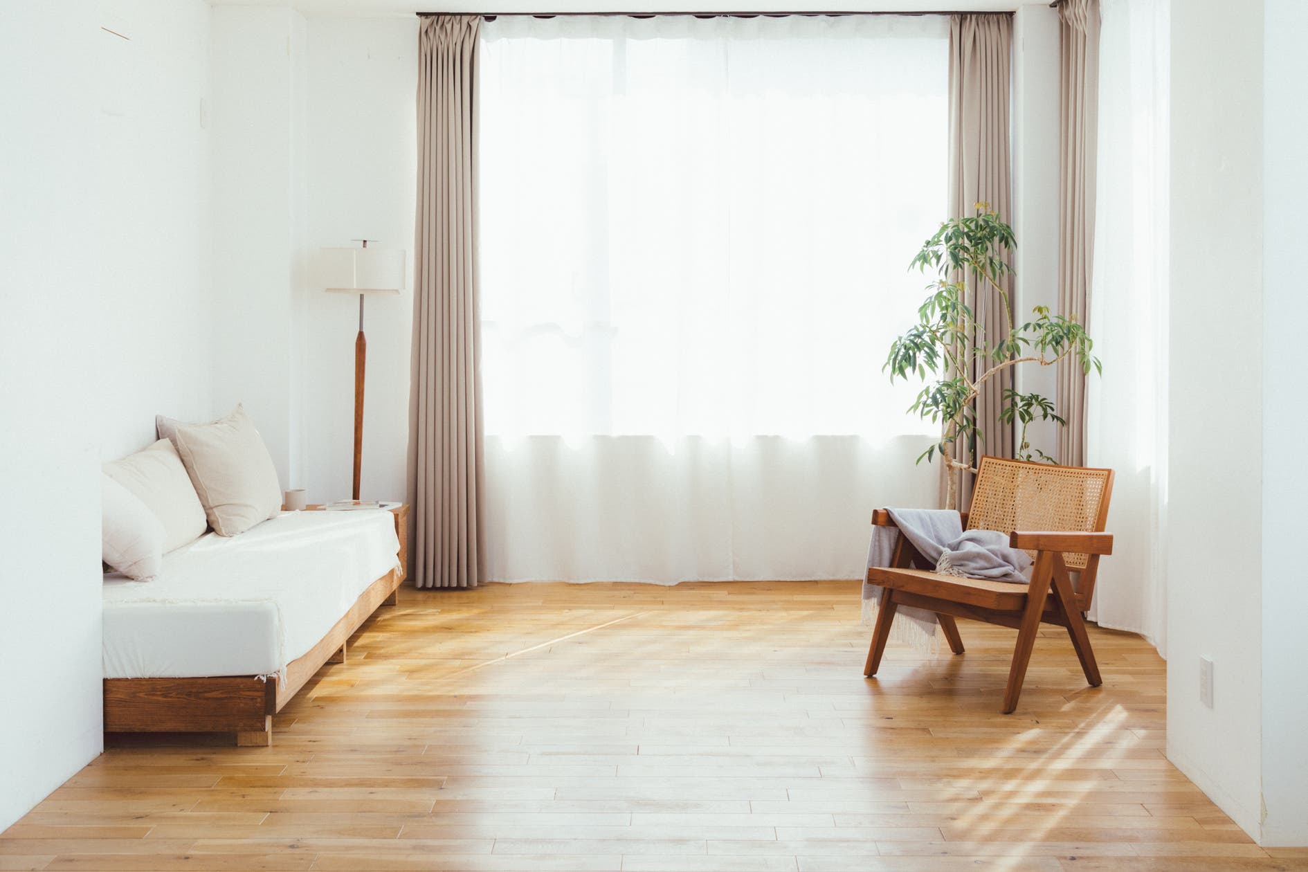 【 圧倒的自然光!! 】 南向き窓・白壁・モルタル床・本格無料機材・奥行き8m ・フローリング【駅近！大田区馬込駅2分】の写真11