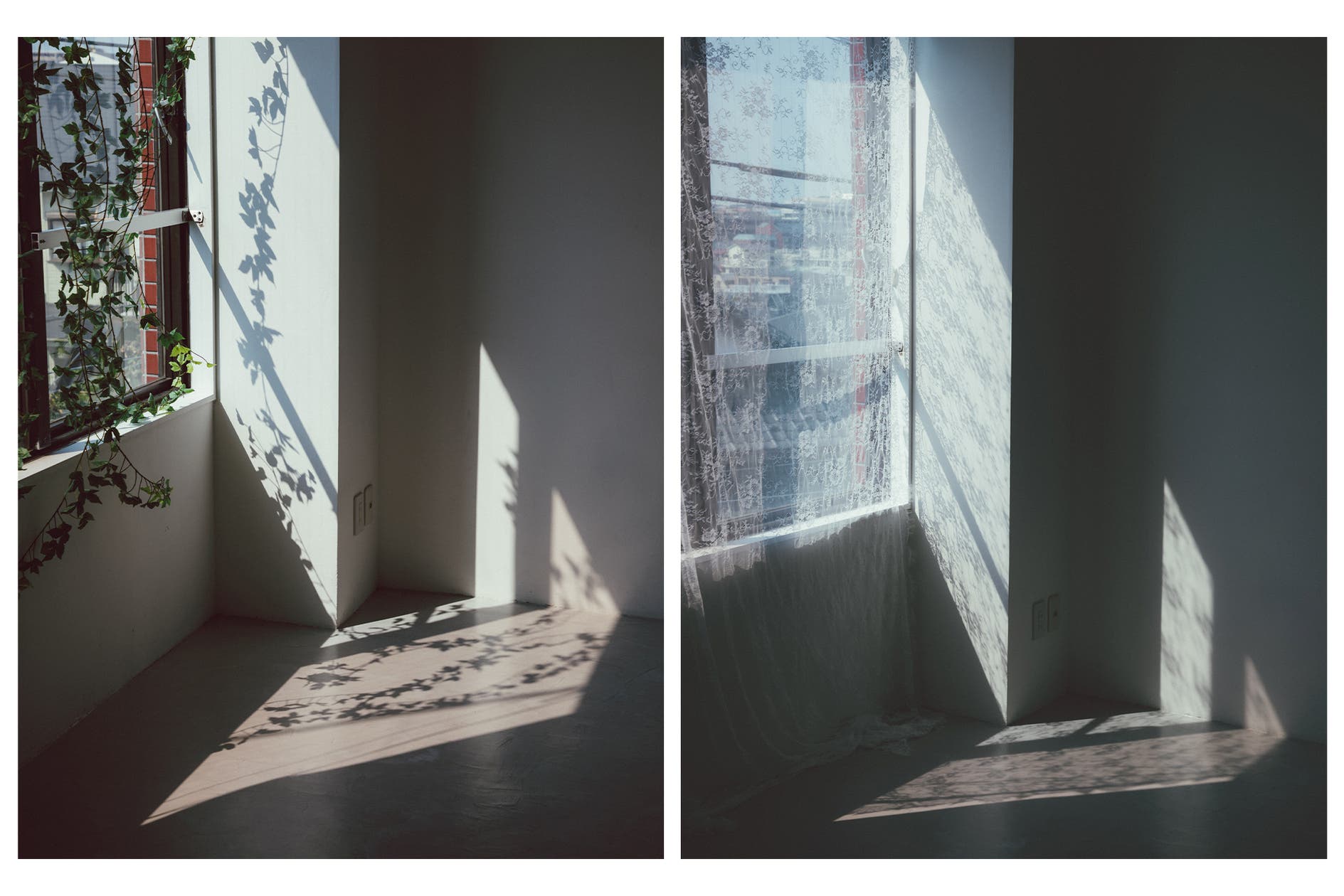 【 圧倒的自然光!! 】 南向き窓・白壁・モルタル床・本格無料機材・奥行き8m ・フローリング【駅近！大田区馬込駅2分】の写真9