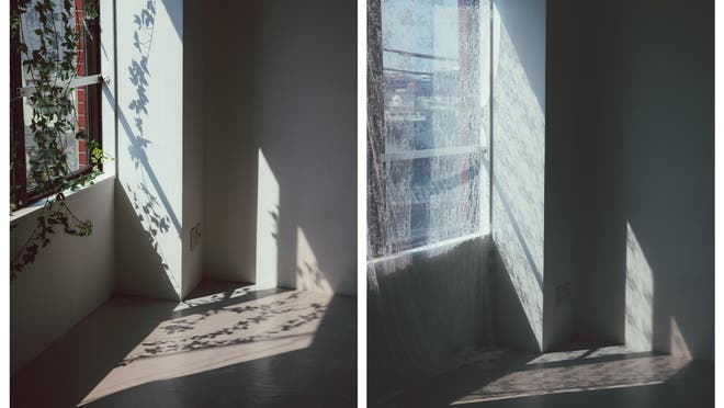 【 圧倒的自然光!! 】 南向き窓・白壁・モルタル床・本格無料機材・奥行き8m ・フローリング【駅近!大田区馬込駅2分】の写真9