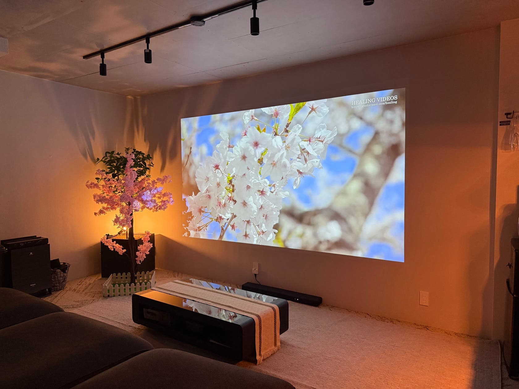 🌸お花見ver｜大人の秘密基地シアター｜大画面で鑑賞🎬｜パーティー・推し活・撮影・女子会・ゆったりデート｜の写真3