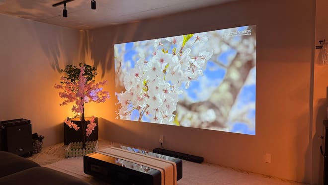 🌸お花見ver|大人の秘密基地シアター|大画面で鑑賞🎬|パーティー・推し活・撮影・女子会・ゆったりデート|の写真3