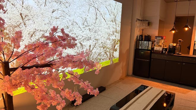 🌸お花見ver|大人の秘密基地シアター|大画面で鑑賞🎬|パーティー・推し活・撮影・女子会・ゆったりデート|の写真2