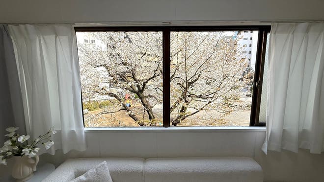 ✨赤坂駅徒歩1分✨お花見🌸新型大人気ゲーム機🎮最大12人🎉女子会/会議/ママ会/歓迎会/撮影/推し活/デートの写真12