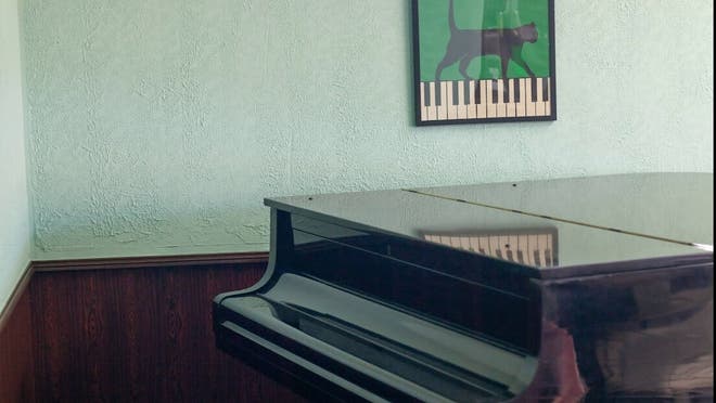 【京成大和田駅 徒歩7分】ロケ・CM・YouTube・スタジオ撮影📸ピアノ演奏🌟オフ会・交流会✨商品撮影・ポートレート撮影★の写真14