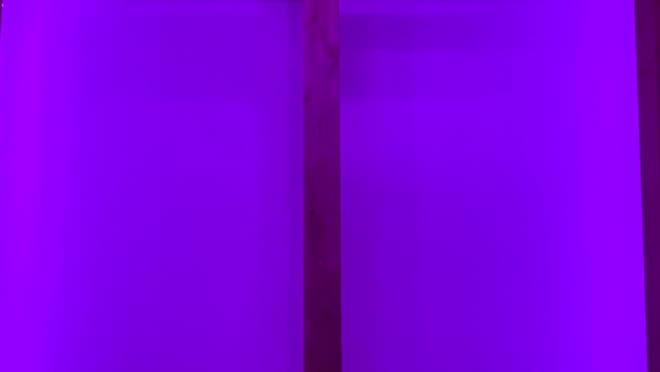 【大須・上前津徒歩8分】フルカラー照明×本格機材|完全個室の貸切撮影スタジオの写真6