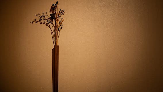 【沼津駅駅 徒歩8分】CM・ロケ・ドラマ・YouTube撮影📸広告撮影・TV収録🎥商品撮影・物撮り🌟MV・PV撮影🍃の写真8