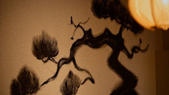 【沼津駅駅 徒歩8分】CM・ロケ・ドラマ・YouTube撮影📸広告撮影・TV収録🎥商品撮影・物撮り🌟MV・PV撮影🍃の写真10