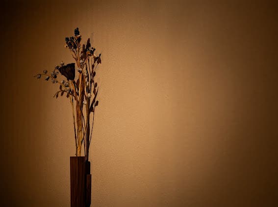 【沼津駅駅 徒歩8分】CM・ロケ・ドラマ・YouTube撮影📸広告撮影・TV収録🎥商品撮影・物撮り🌟MV・PV撮影🍃の写真17