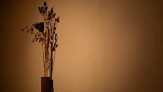 【沼津駅駅 徒歩8分】CM・ロケ・ドラマ・YouTube撮影📸広告撮影・TV収録🎥商品撮影・物撮り🌟MV・PV撮影🍃の写真17