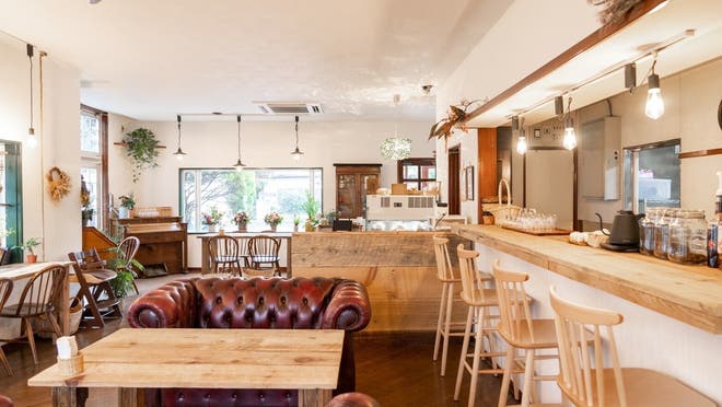 【柏の葉キャンパス駅付近】自然光の入るカフェ☕ロケ・CM・スタジオ撮影📸商品撮影・物撮り・広告撮影🎥ポートレート・MV🍃の写真8