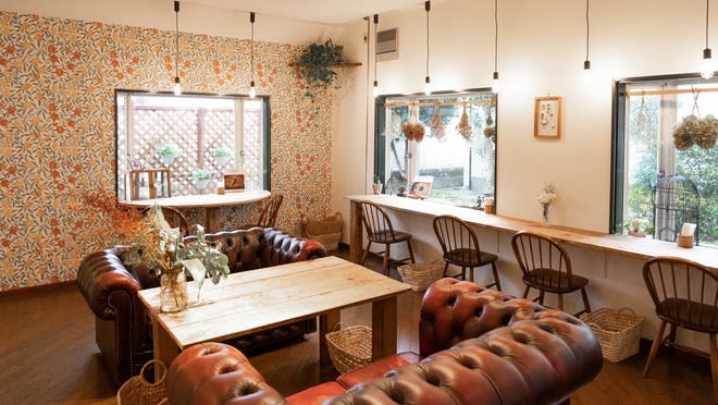 【柏の葉キャンパス駅付近】自然光の入るカフェ☕ロケ・CM・スタジオ撮影📸商品撮影・物撮り・広告撮影🎥ポートレート・MV🍃の写真4