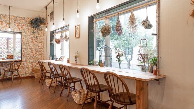 【柏の葉キャンパス駅付近】自然光の入るカフェ☕ロケ・CM・スタジオ撮影📸商品撮影・物撮り・広告撮影🎥ポートレート・MV🍃の写真7