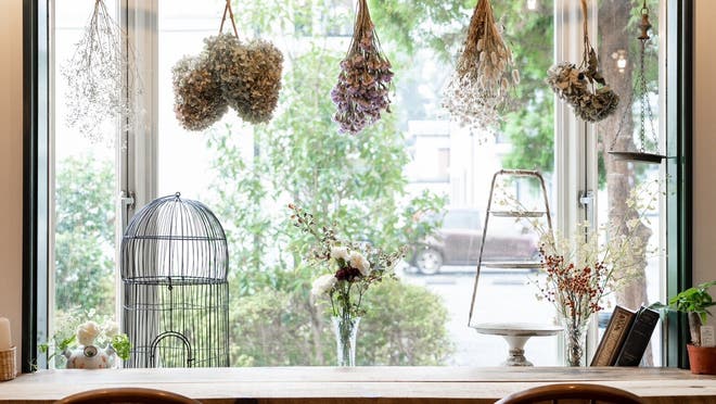 【柏の葉キャンパス駅付近】自然光の入るカフェ☕ロケ・CM・スタジオ撮影📸商品撮影・物撮り・広告撮影🎥ポートレート・MV🍃の写真10