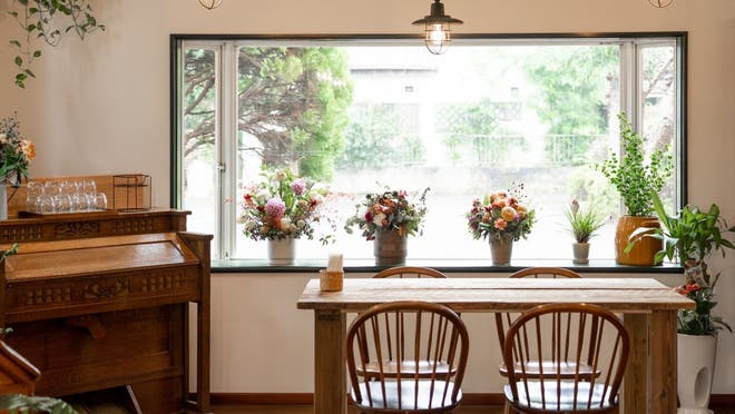 【柏の葉キャンパス駅付近】自然光の入るカフェ☕ロケ・CM・スタジオ撮影📸商品撮影・物撮り・広告撮影🎥ポートレート・MV🍃の写真6