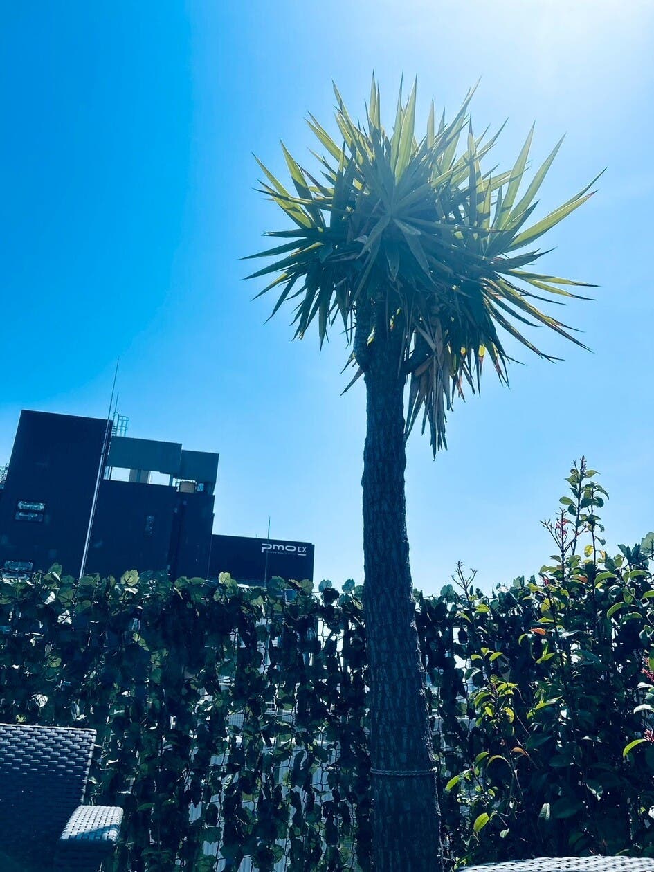 茅場町駅から徒歩1分の完全貸切BBQ場の写真6