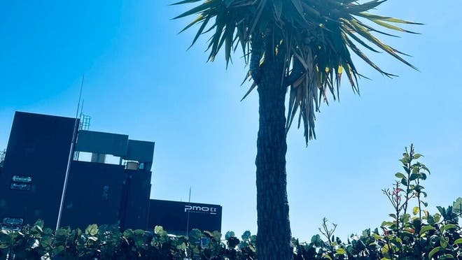 茅場町駅から徒歩1分の完全貸切BBQ場の写真6