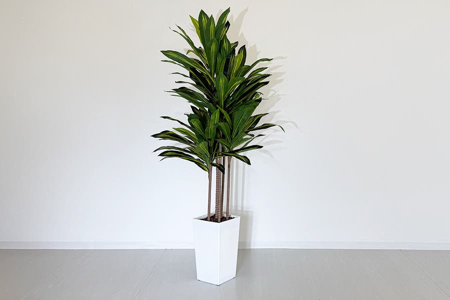 New Open🎉【藤森駅1分】撮影スタジオ📸南向き・日当たり良好☀️撮影備品無料｜24h｜63㎡の写真11