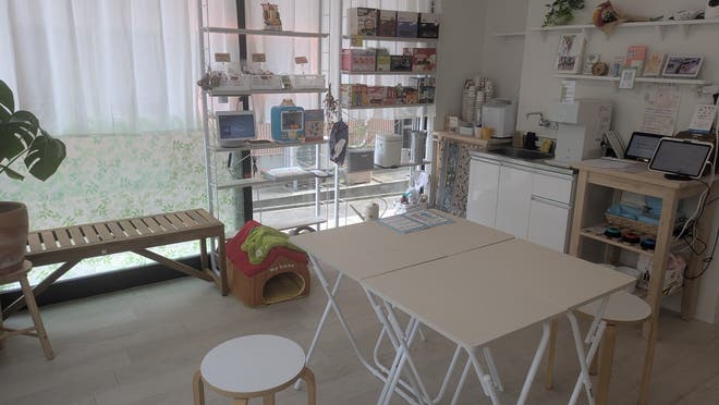 灘区の隠れ家スペース|犬と一緒に過ごせる小さな空間の写真1